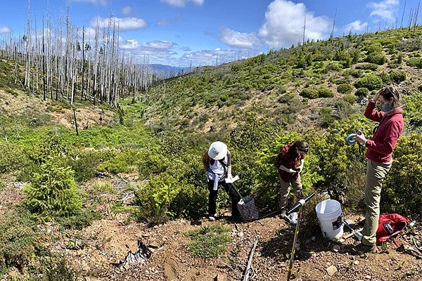 Environmental Studies Program Minors | Environmental Studies | Social ...