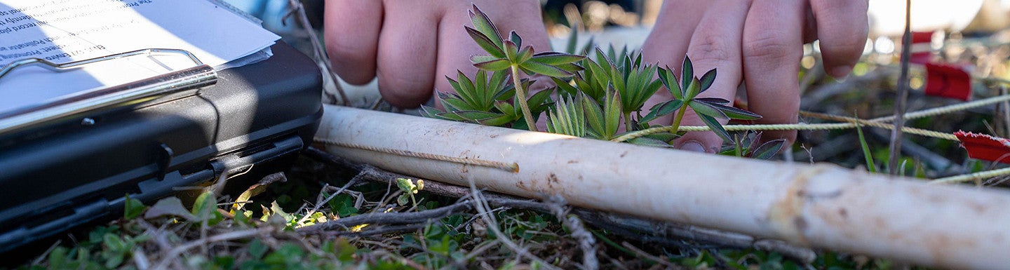 Major Requirements | Environmental Studies | Social Sciences