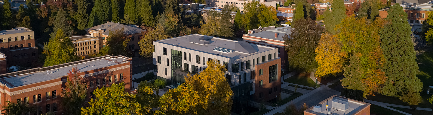 Major Concentrations | Sociology | Social Sciences